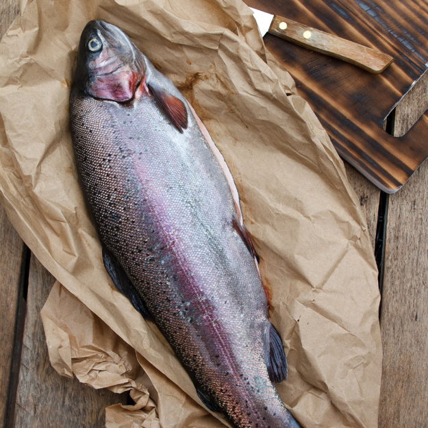 Wild Raised Rainbow Trout Filets – Southern Ridge Farm