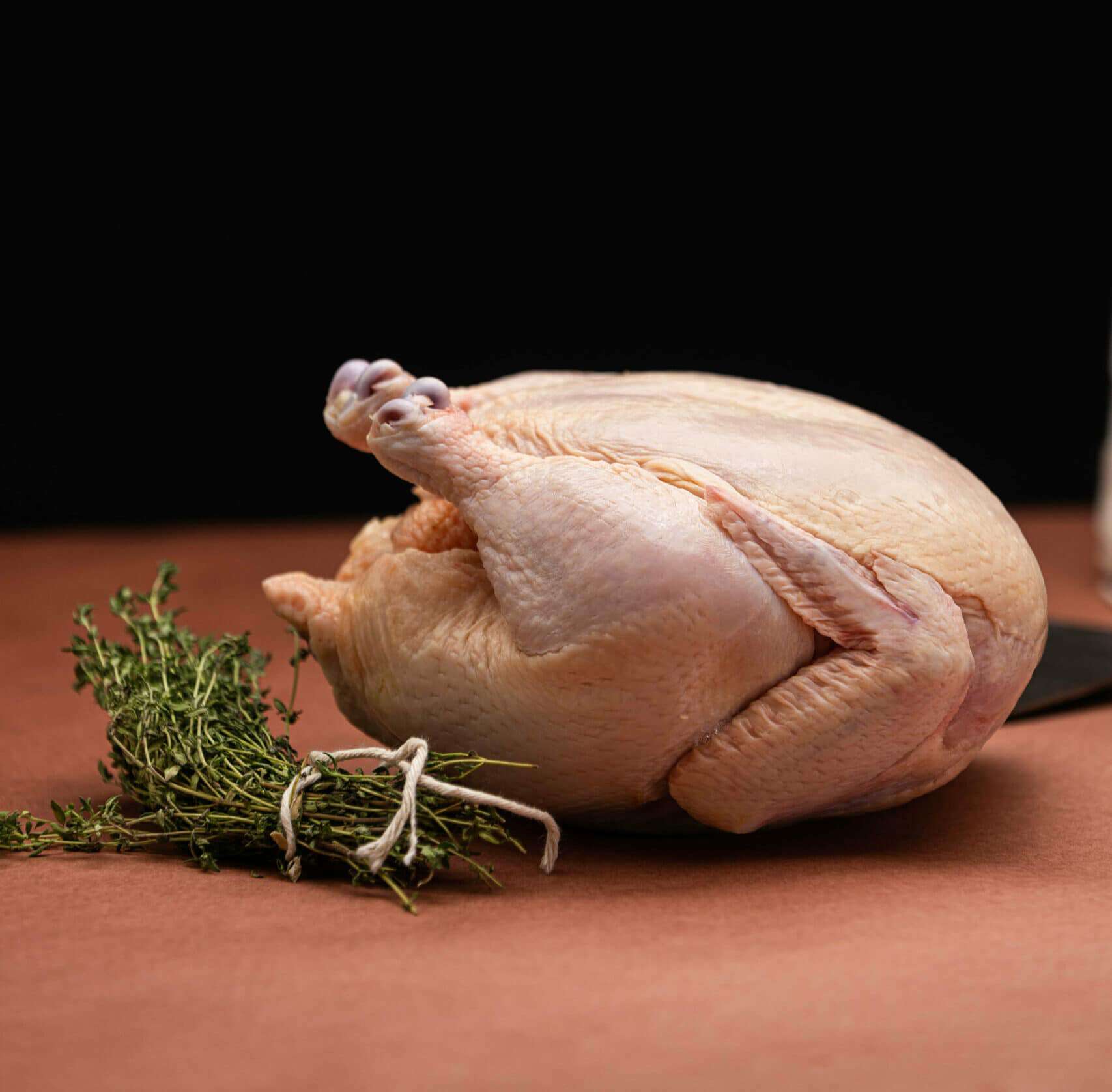 Regenerative Pasture Raised Whole Chicken – Southern Ridge Farm